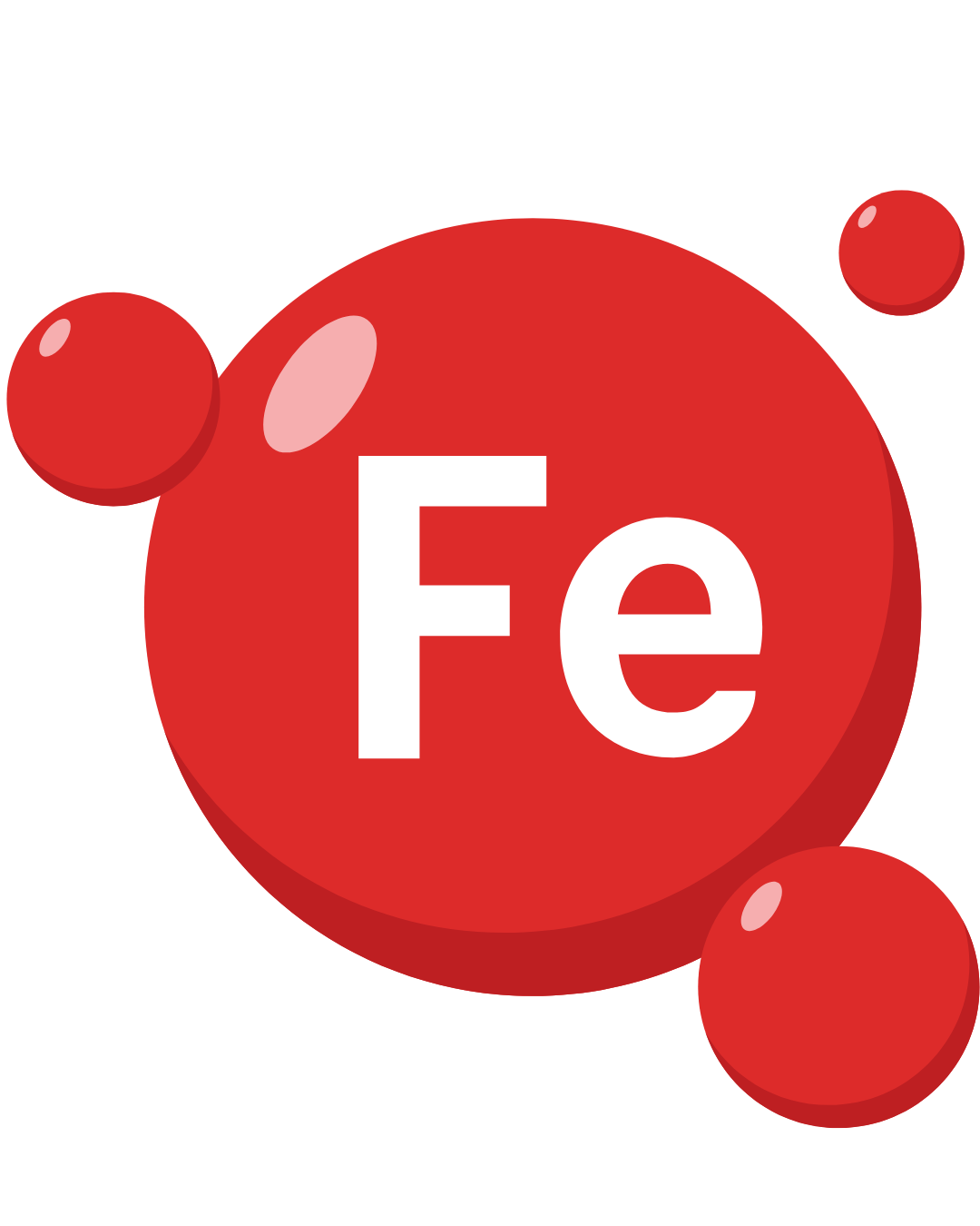 Fer dans l’organisme : absorption, transport et utilisation | Phynacare